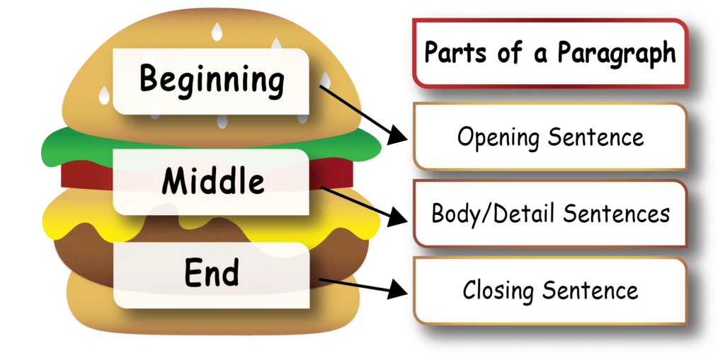 How To Structure A Paragraph Paragraph Writing EIW
